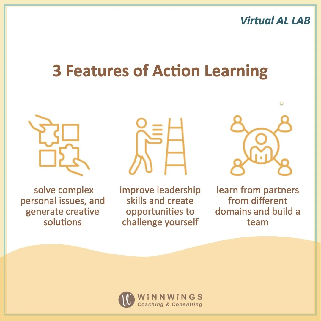 Virtual Action Learning — WinnWings Coaching & Consulting