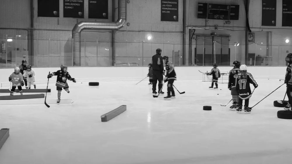 Djurgården Hockey
