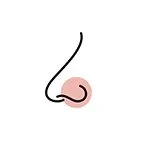 Anapen Adrenaline Auto-Injector