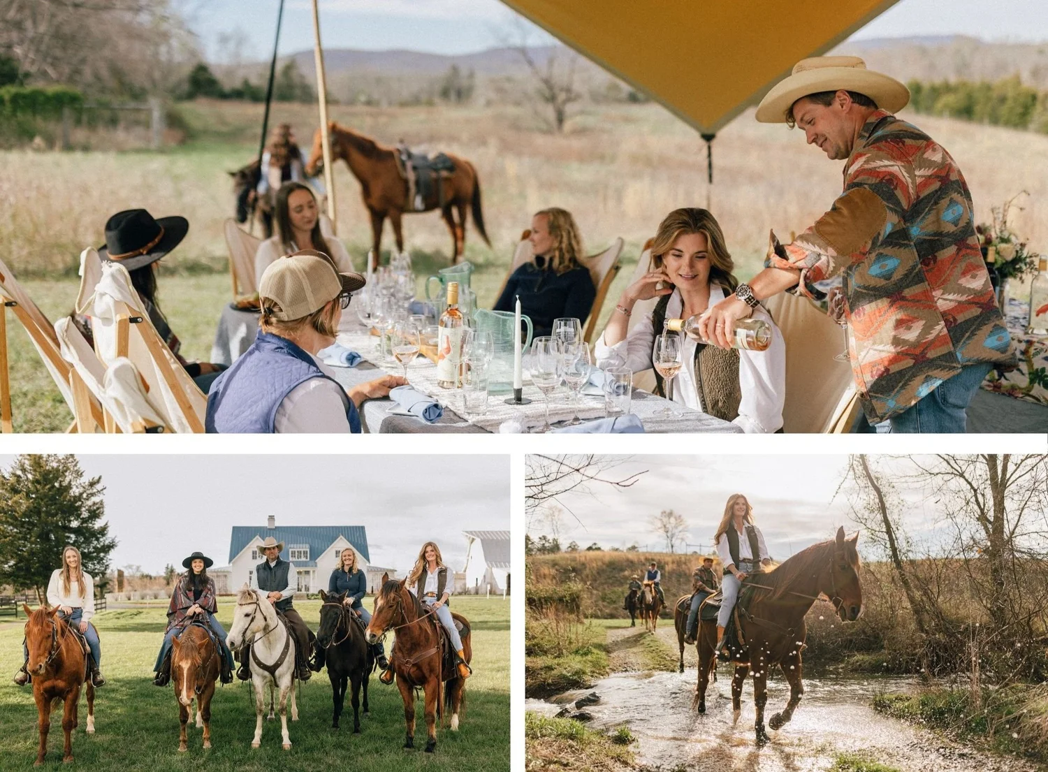 Visit Us / Reservations — Merrie Mill Farm & Vineyard