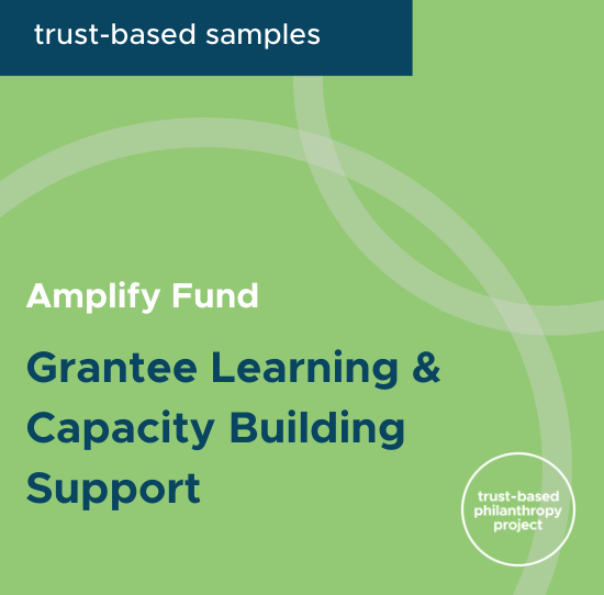 Sample Collection: Support Beyond the Check — Trust-Based Philanthropy