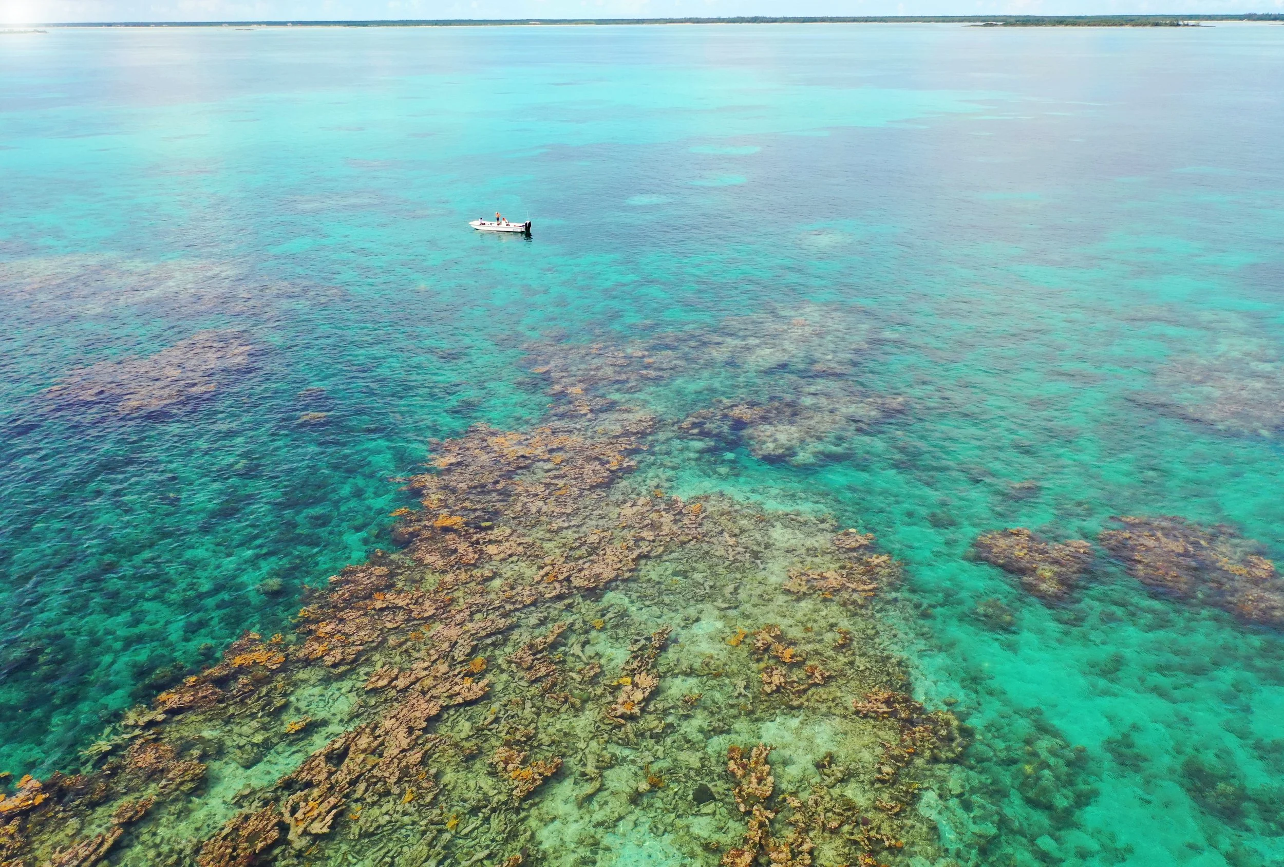 Caribbean — Blue Nature Alliance
