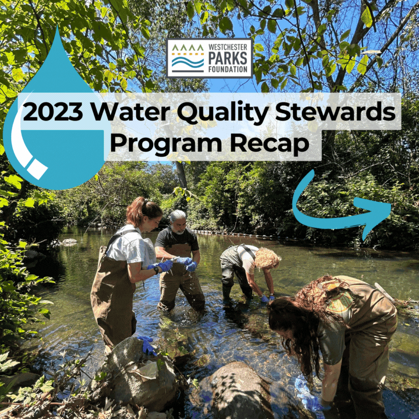 Water Quality stewards — Westchester Parks Foundation