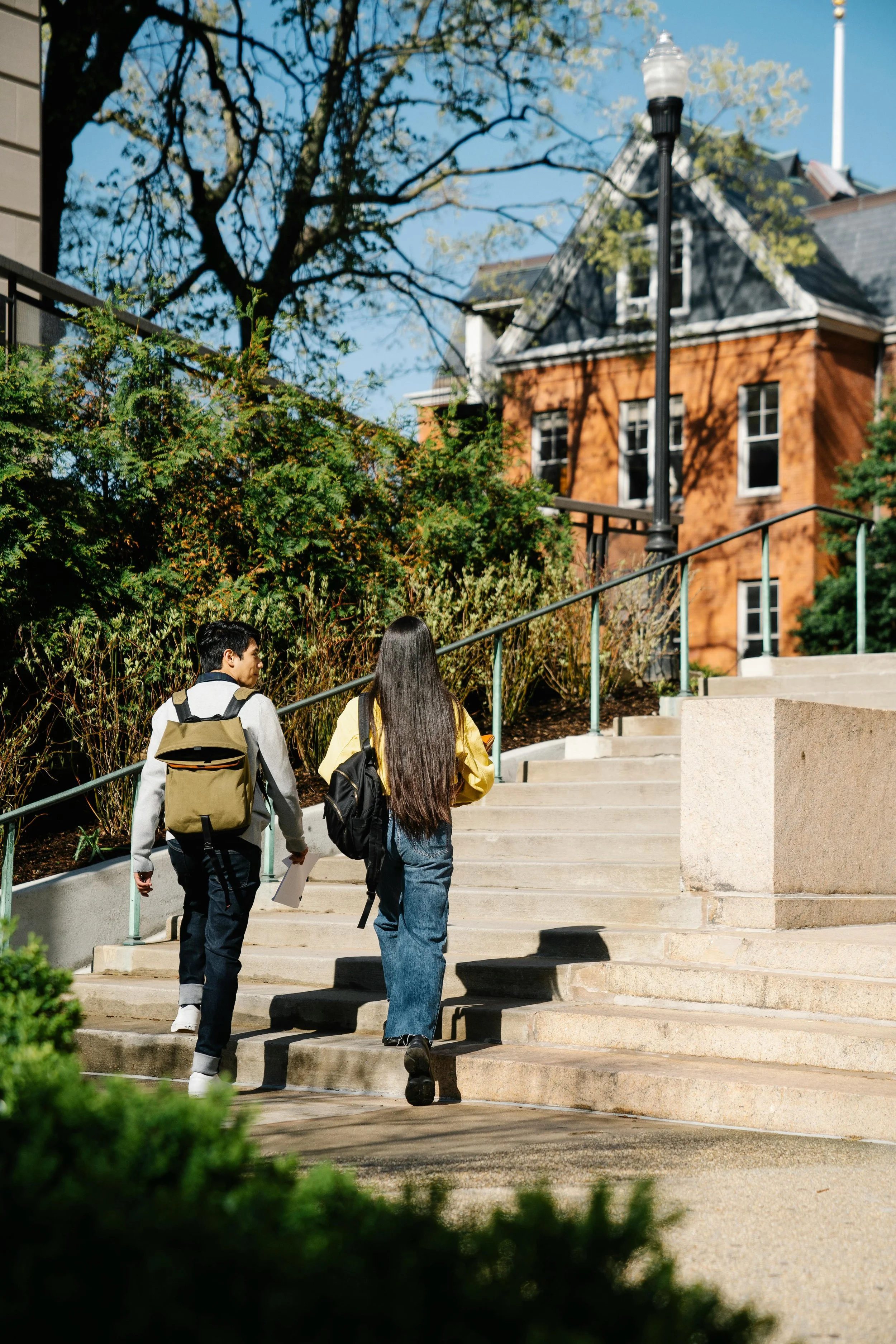 The College Application Process: How to Apply to College (With Timeline ...