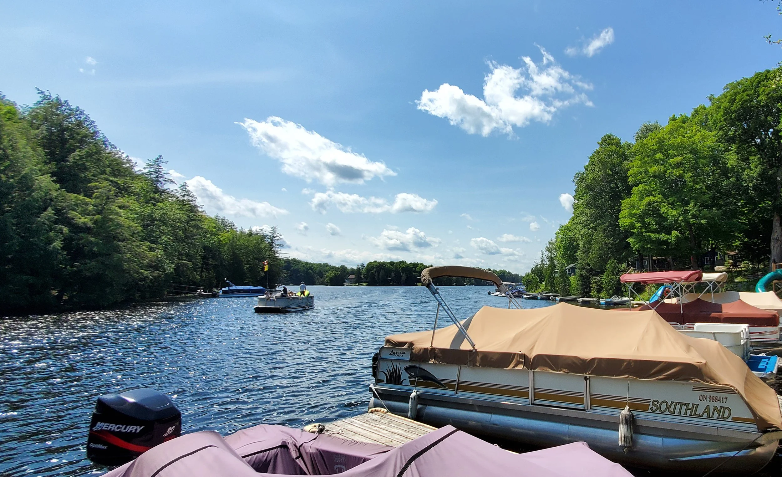 Paudash Lake — Roots RV Resorts