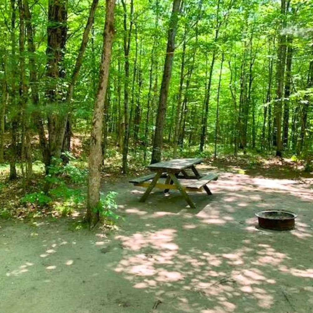 Camp Hillbilly — Daiva RV Resorts