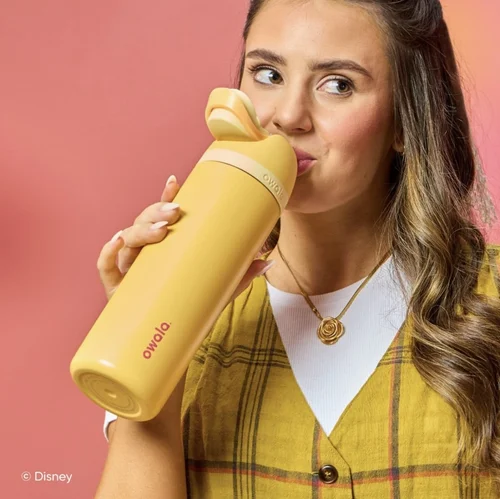 Disney x Owala Disney Princess Collection — EXTRA MAGIC MINUTES