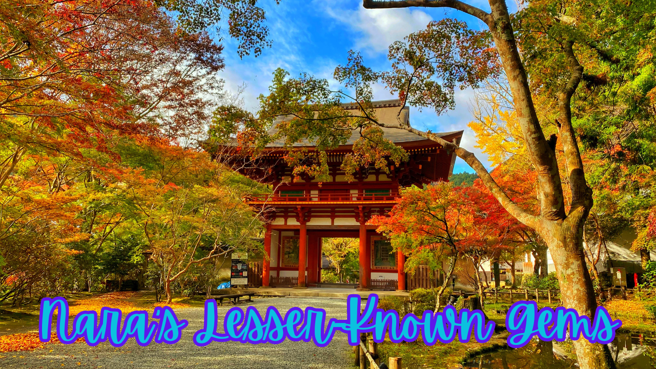 Revealing Nara’s Lesser-Known Gems — Wander Japan with Me