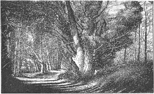 Gallery 3 — The Society of Wood Engravers