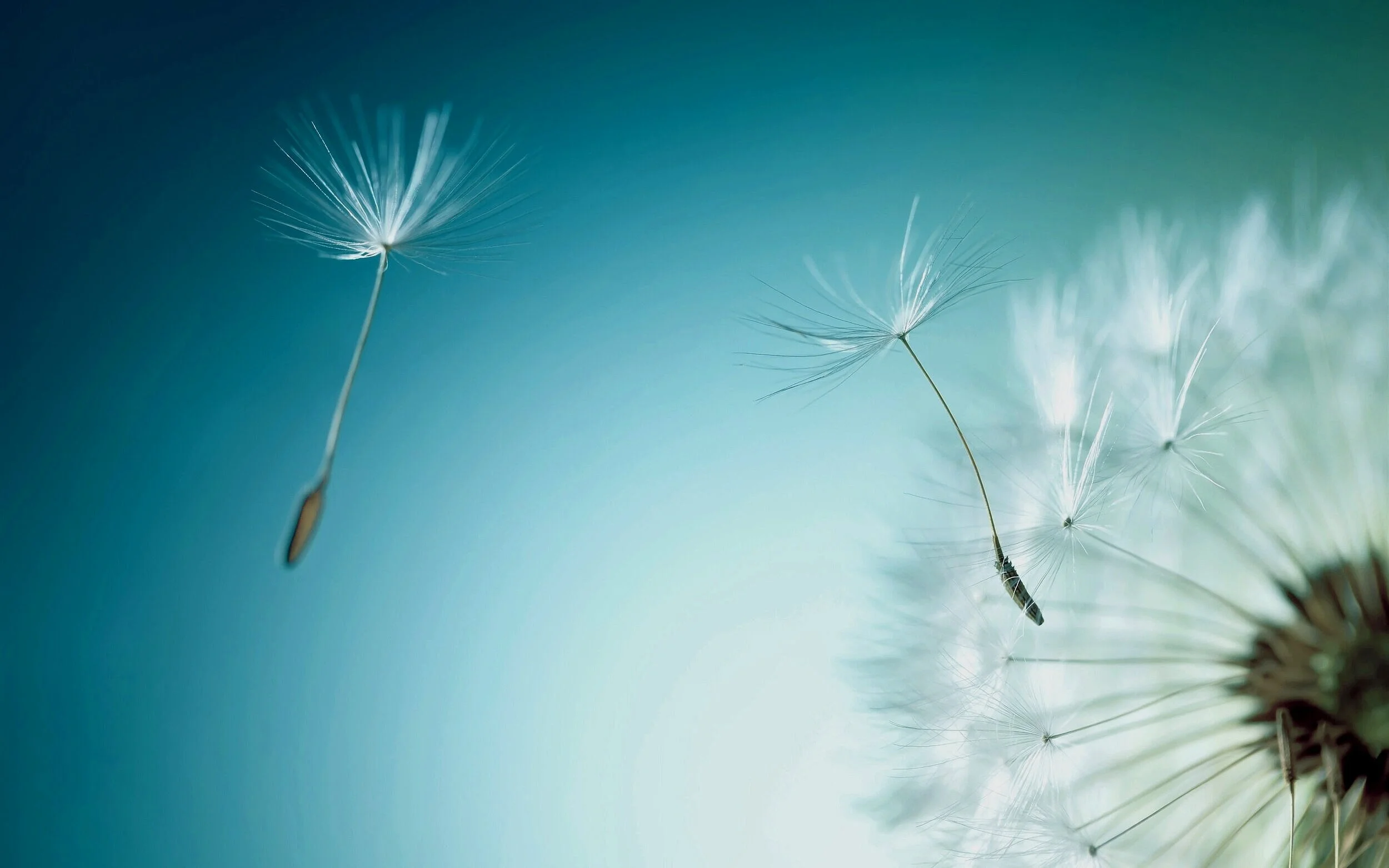 Entspannungsverfahren Entspannungstechniken · Meditation · Hypnose ...
