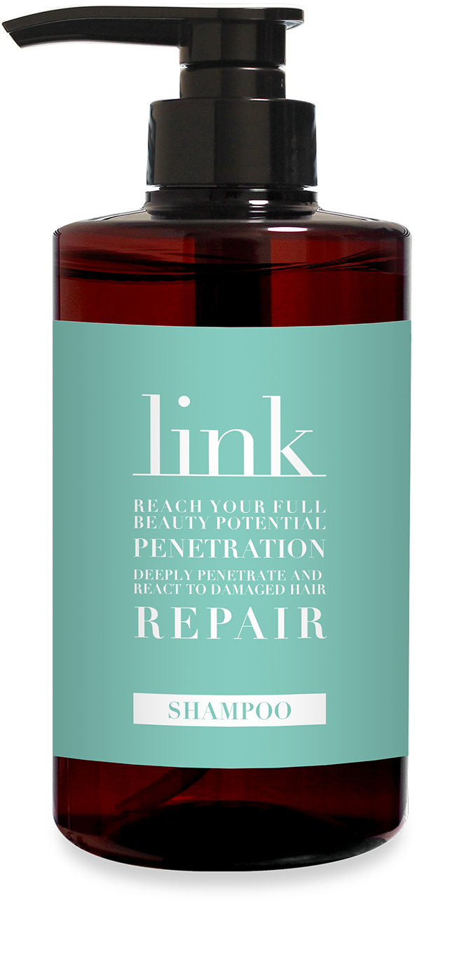 【正規販売店】link | リンク トリートメント — hair resort Bay Shore NY
