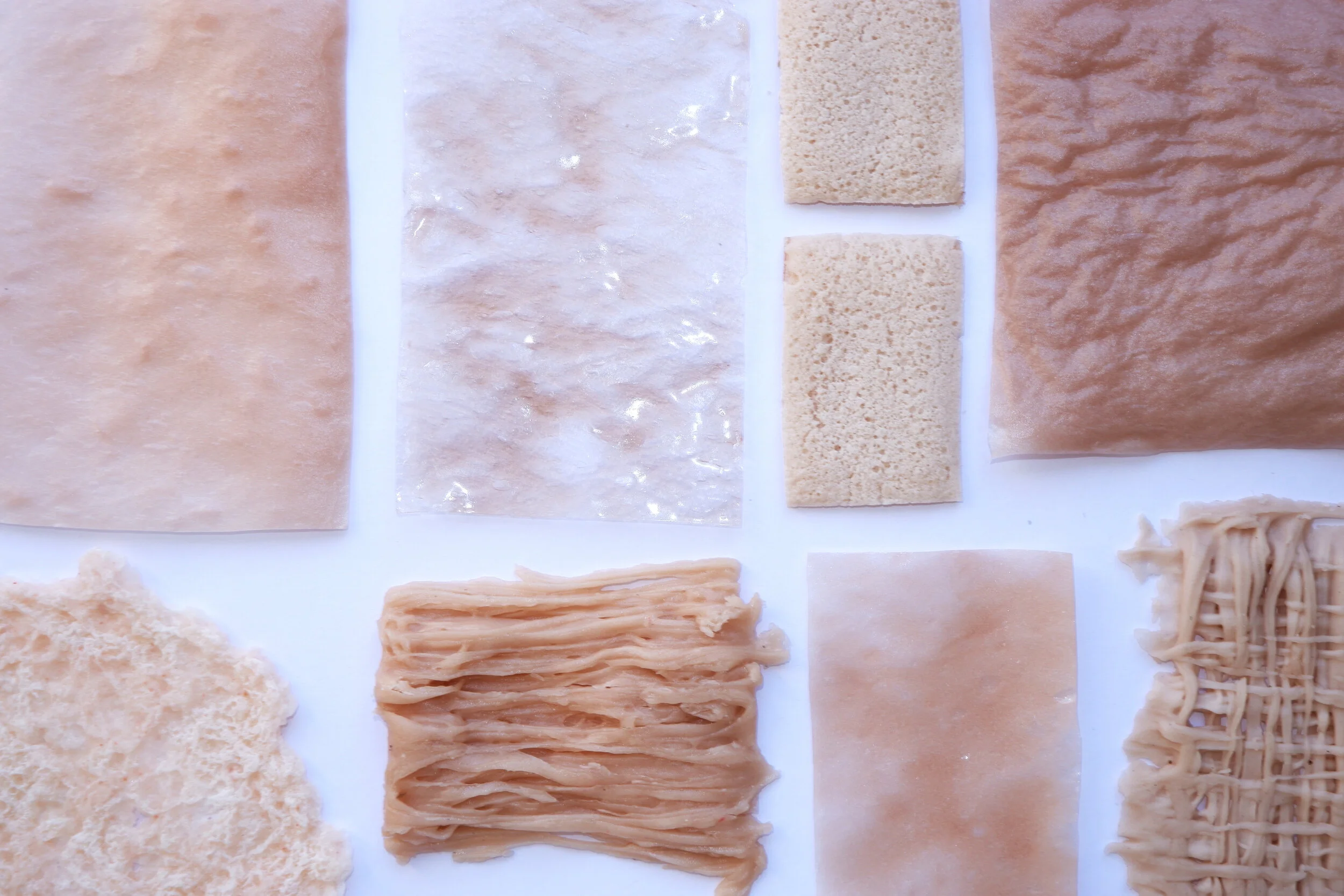 Aqua Faba Foam — PAULA NERLICH