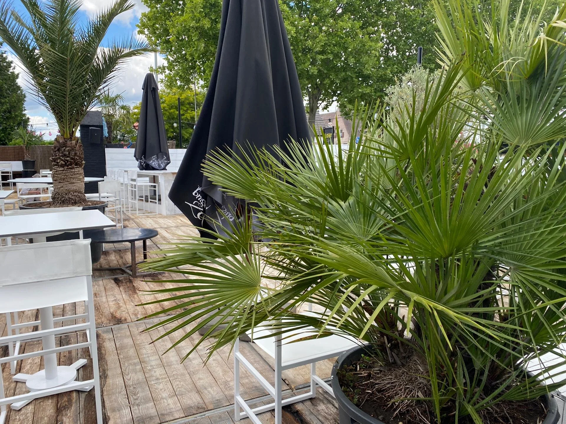 Horeca — WR-inspired