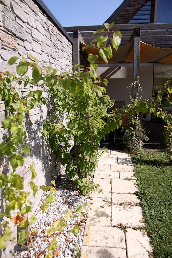 Form follows emotion — BIRO GASPERIC