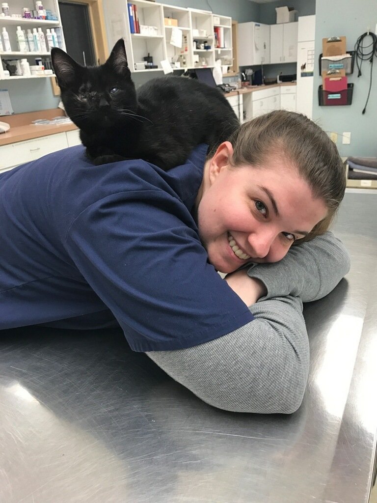 May MentorVet Mentor of the Month: Kate Boatright, VMD — MentorVet