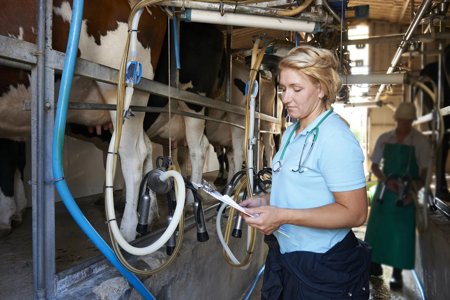 Understanding and Coping with Moral Distress in Veterinary Medicine ...