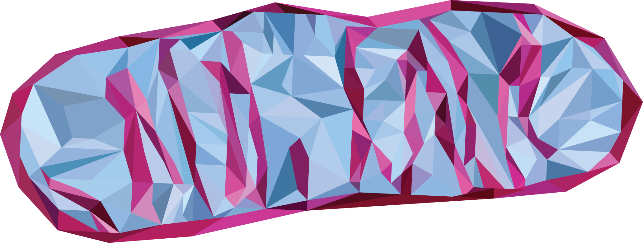 Contact Information — The Evans Lab - Duke University