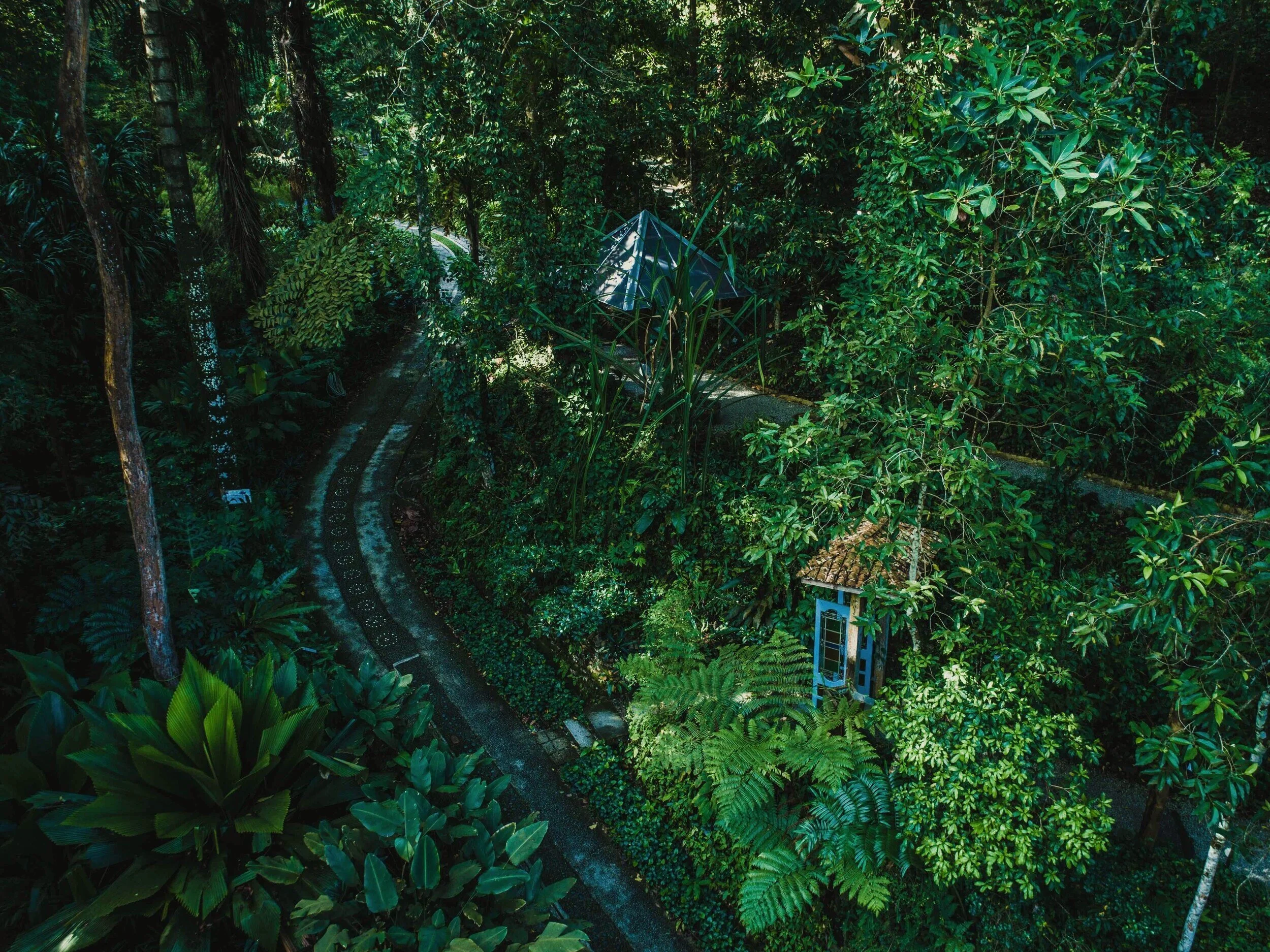 Tropical Spice Garden