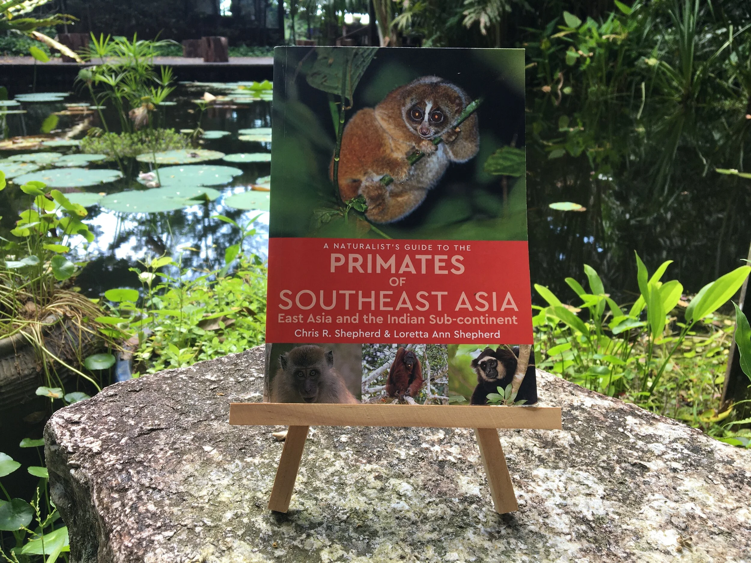 Heritage Trees of Penang — Tropical Spice Garden