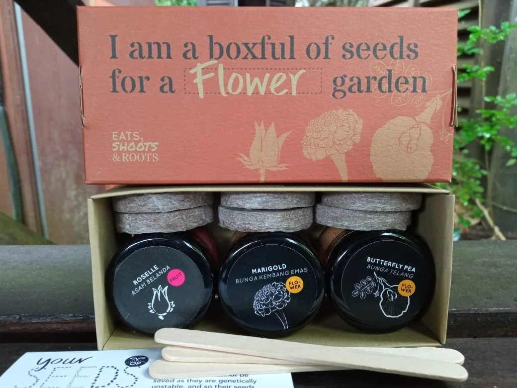 Eats Shoots Roots - Seed Boxes — Tropical Spice Garden
