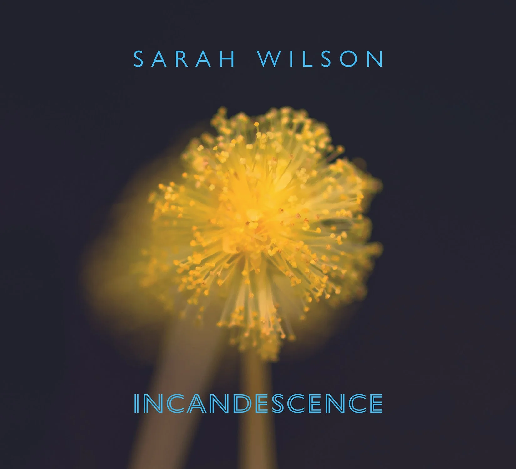 Sarah Wilson
