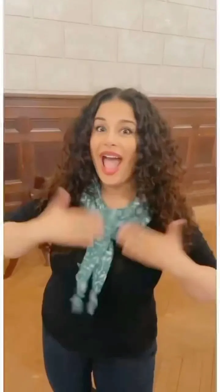 PS 347 The ASL & English Lower School PTA