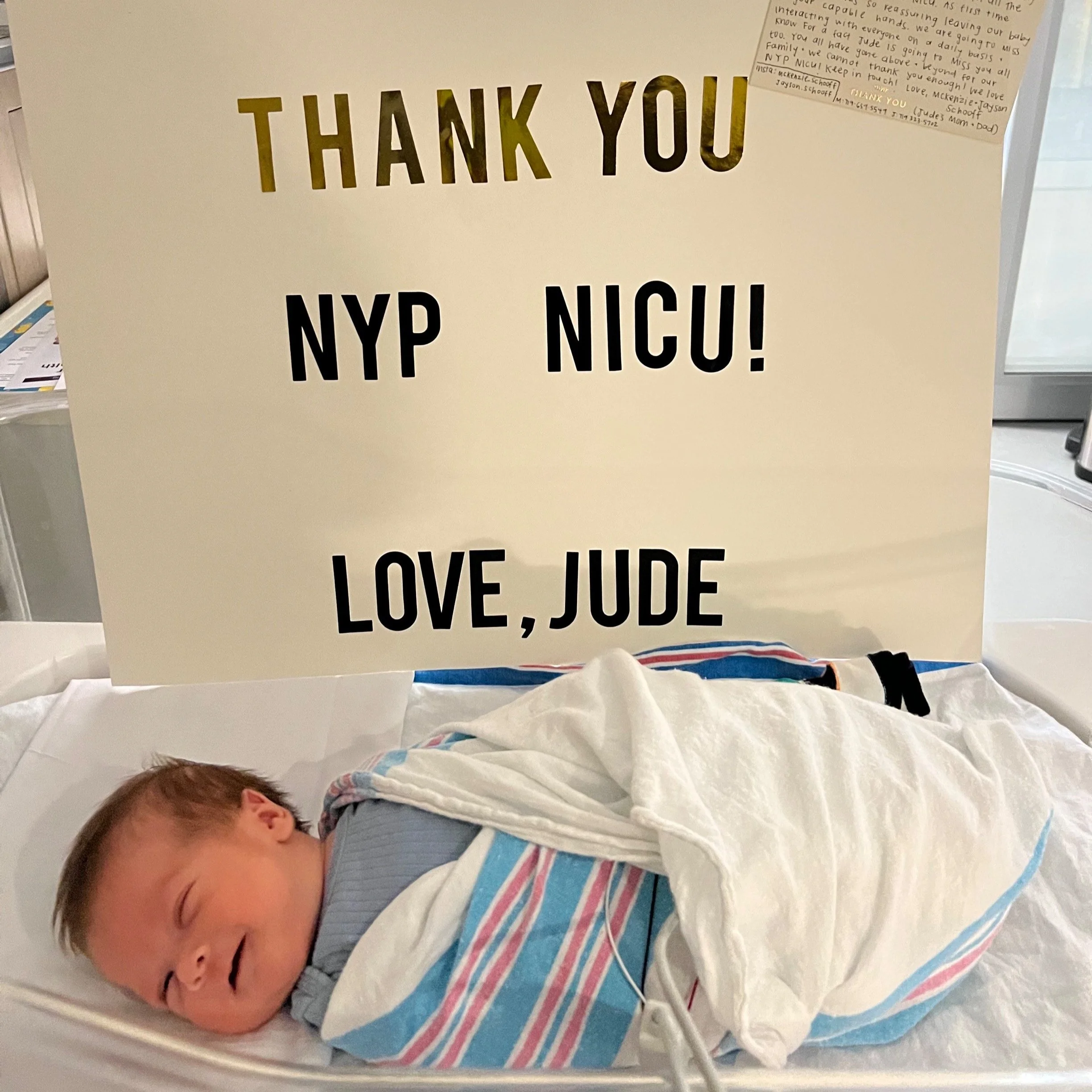 Jayson Schooff — PS 347 The ASL & English Lower School PTA