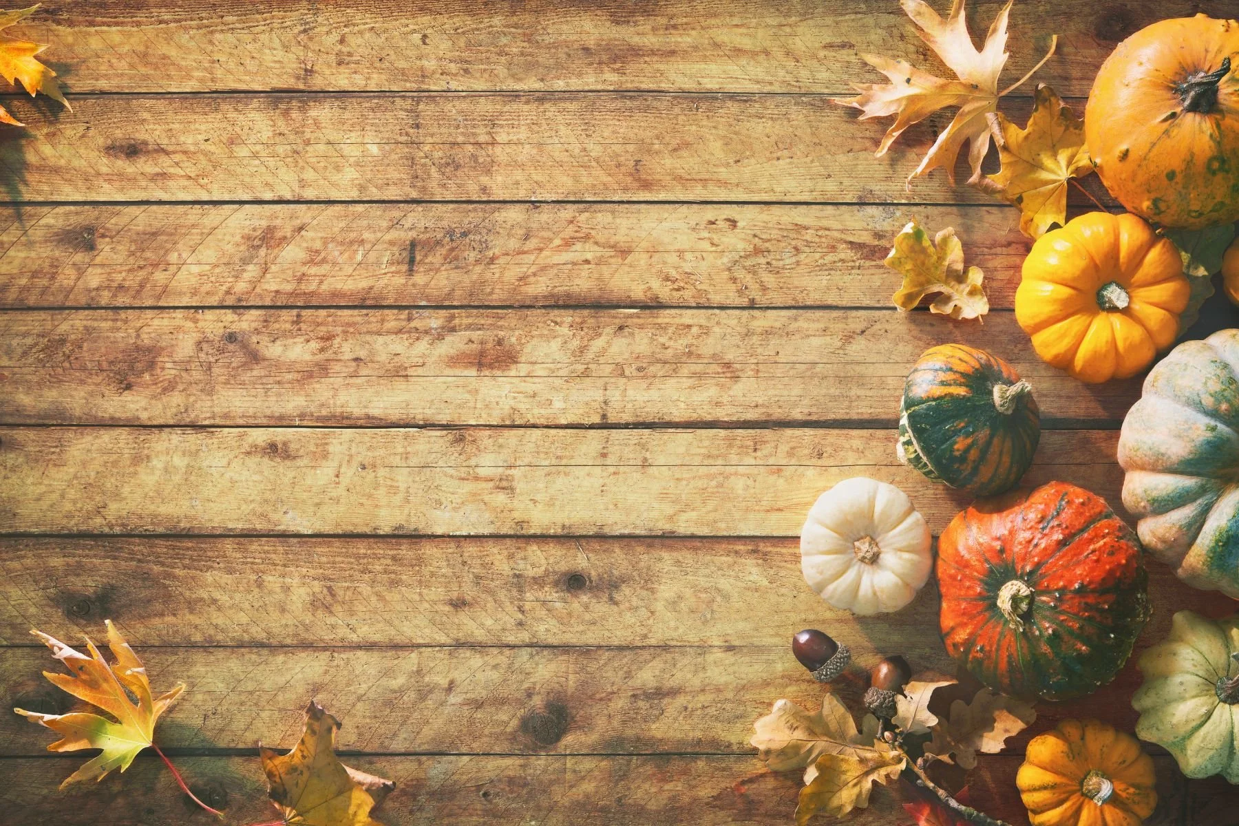 Acupuncture Wellness Tips for Autumn — Dr Jen Acupuncture | Sarasota, FL