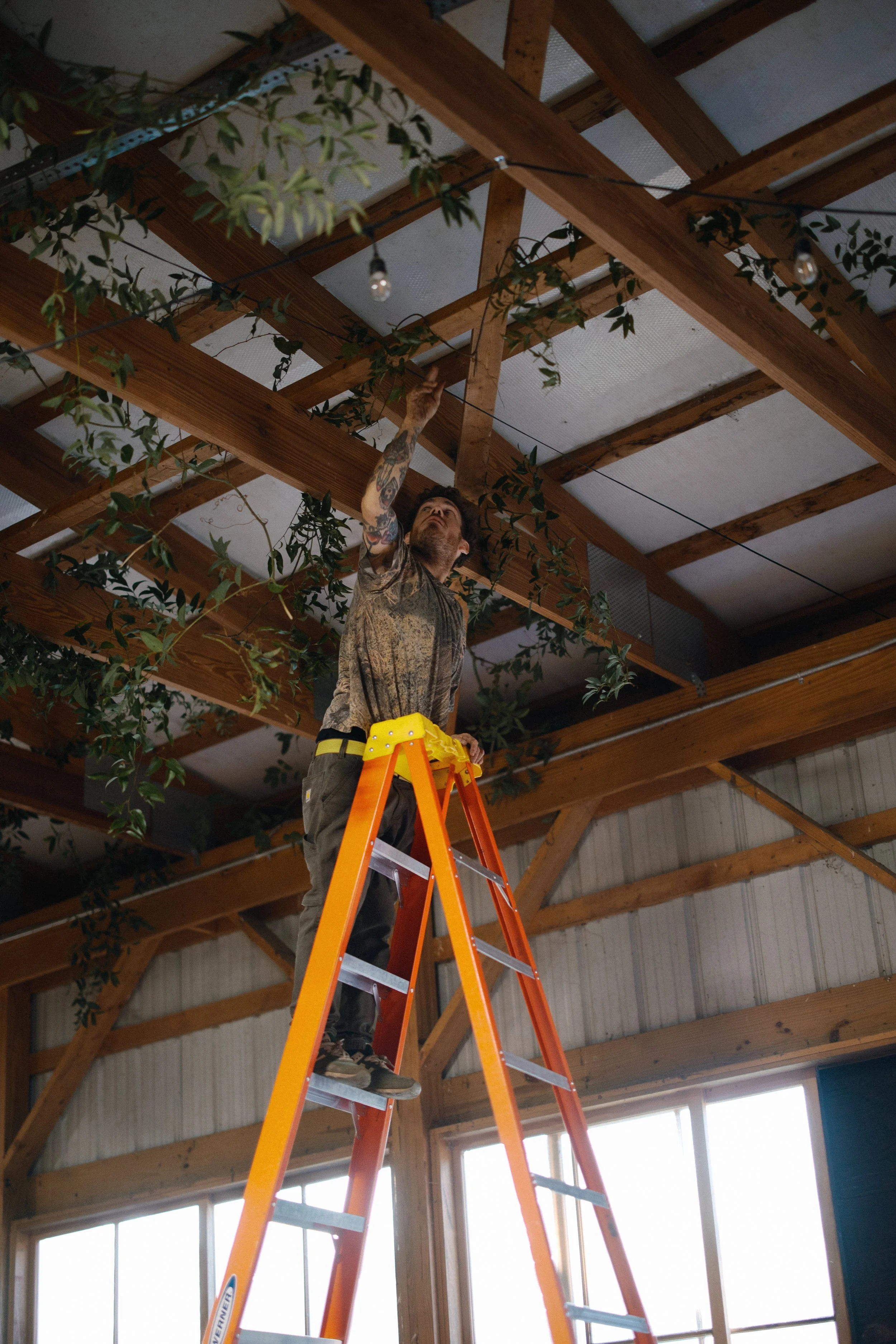 Enchanted Forest Barn Transformation — Made of Leaves
