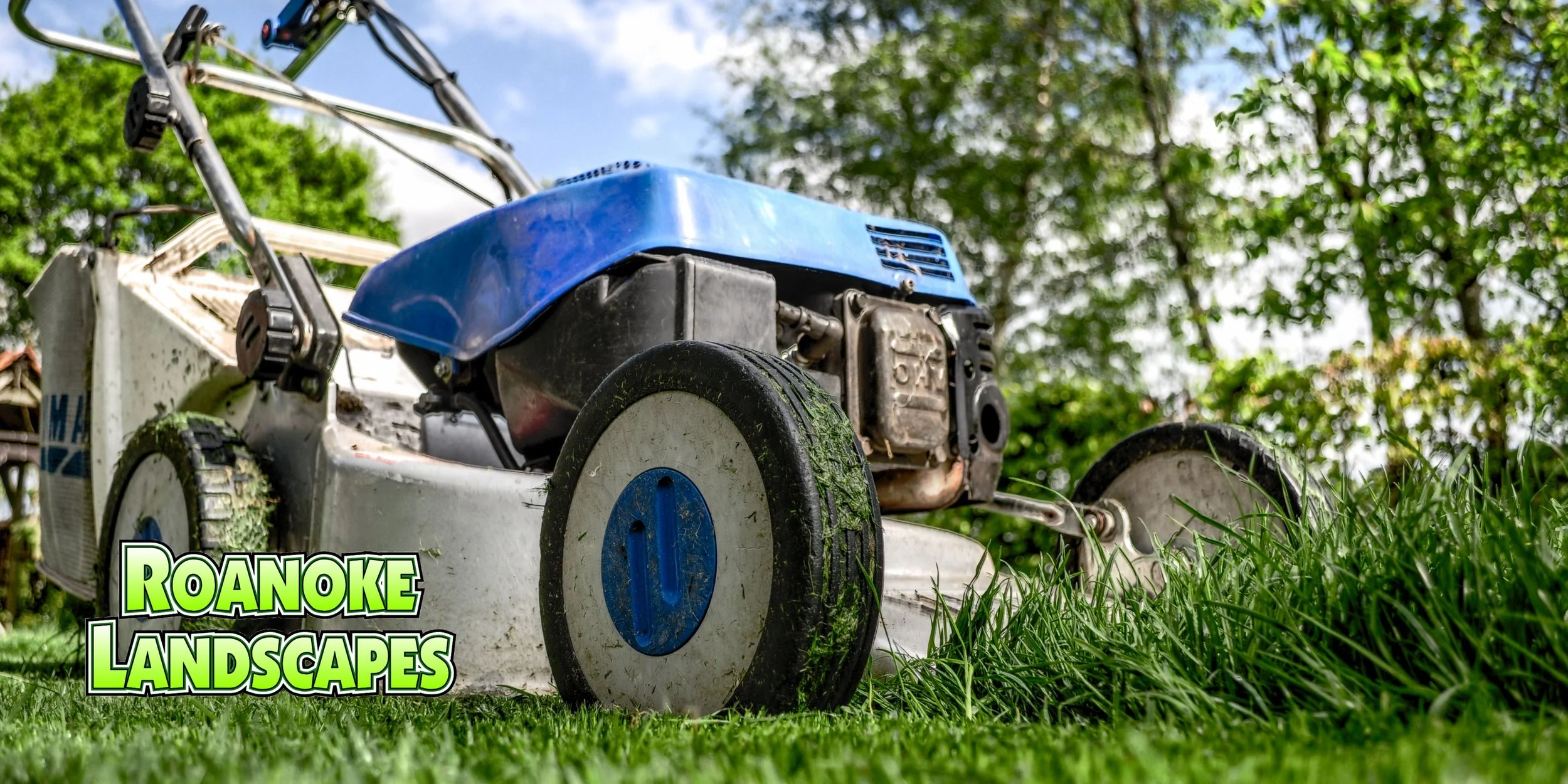 The Benefits of Delaying Your First Spring Mow — Roanoke Landscapes