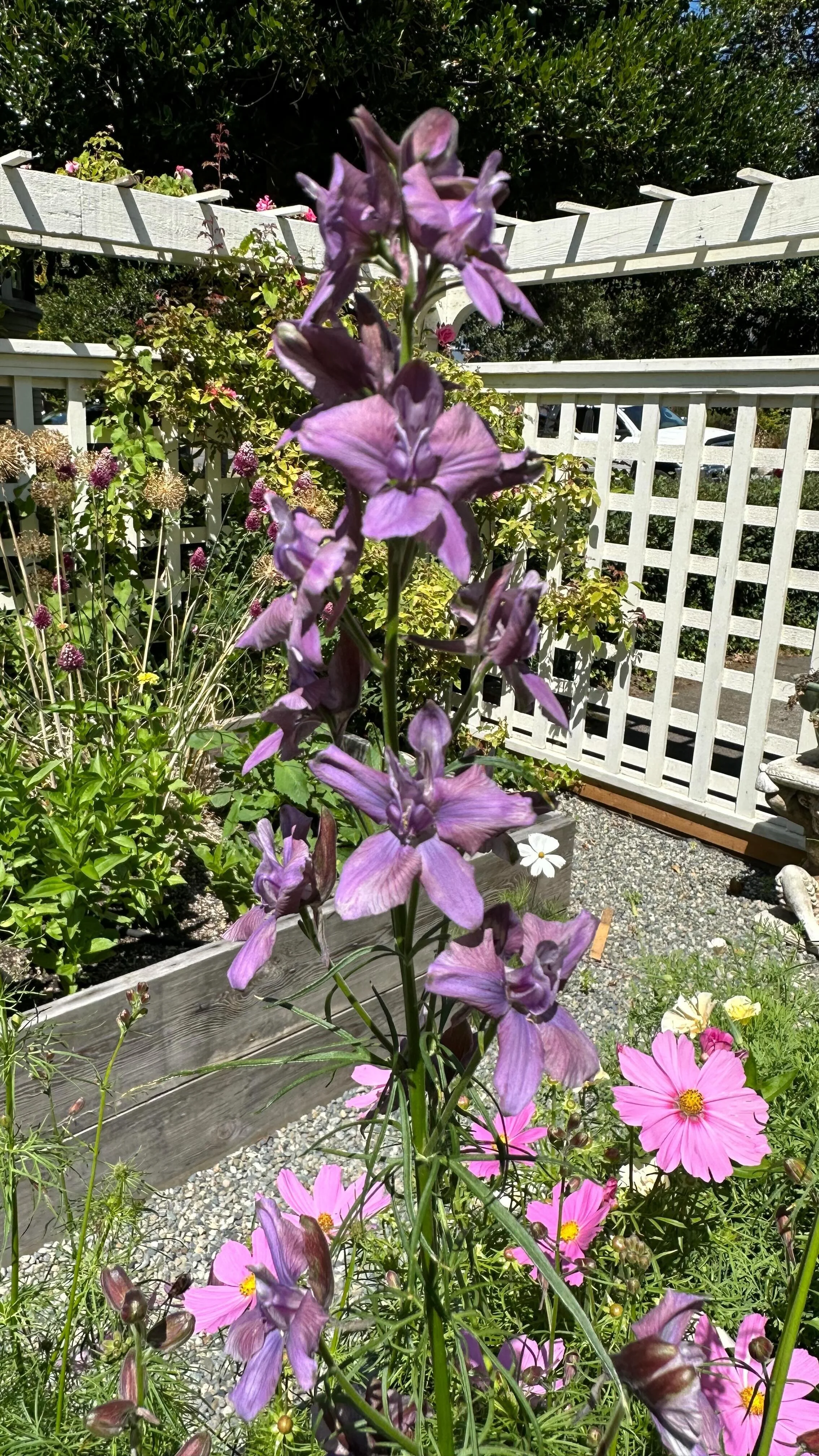 Sixtee is the new Fortee