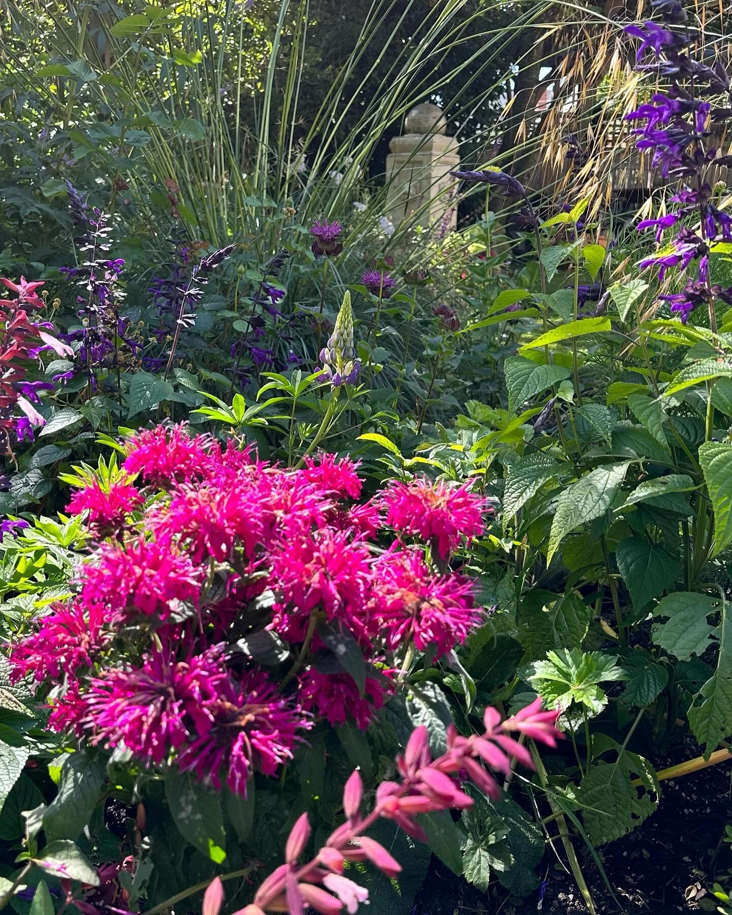 Stunning floral photography by Jamie Beck — Sixtee is the new Fortee