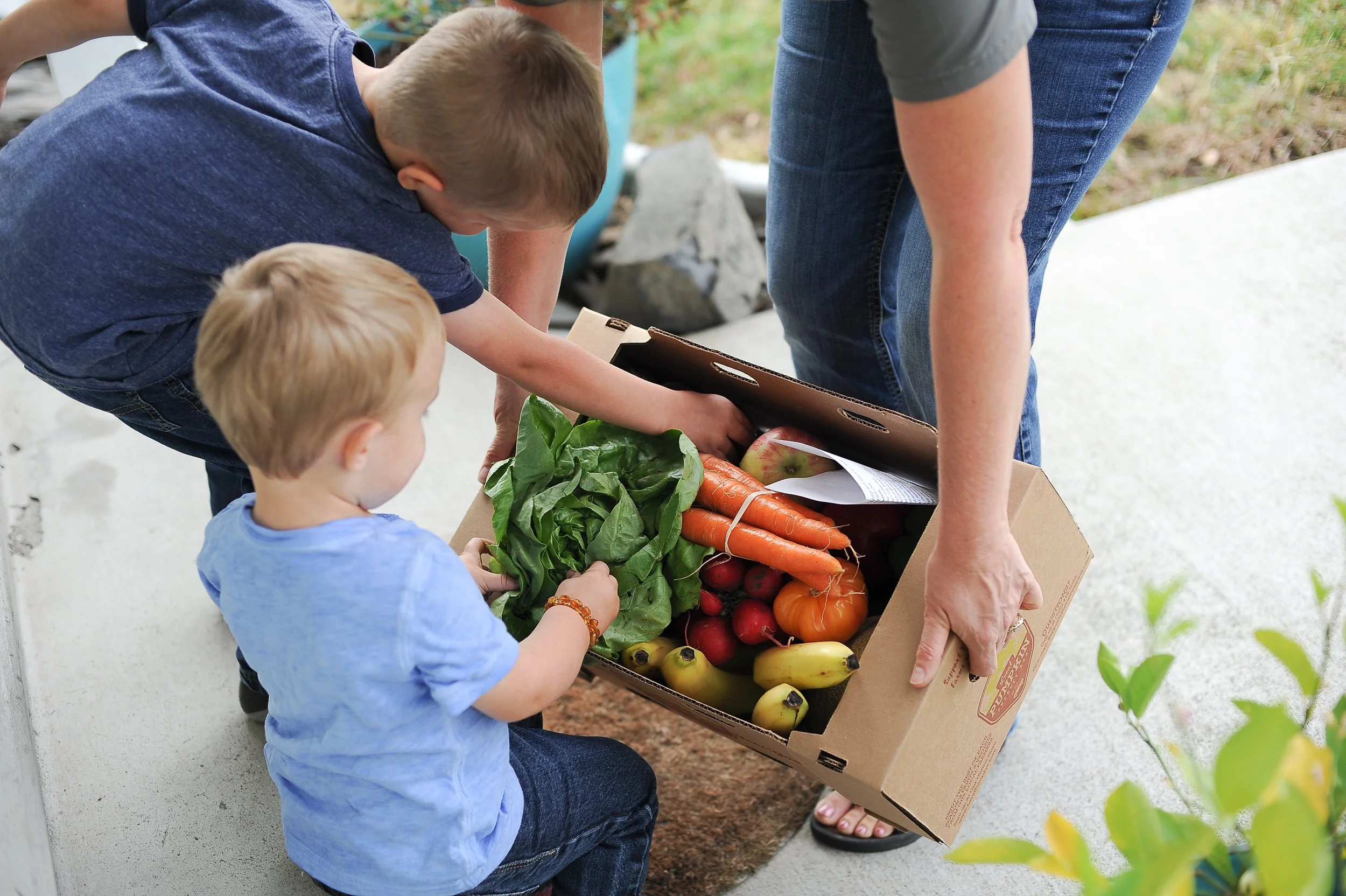 Produce Box | Local Pumpkin