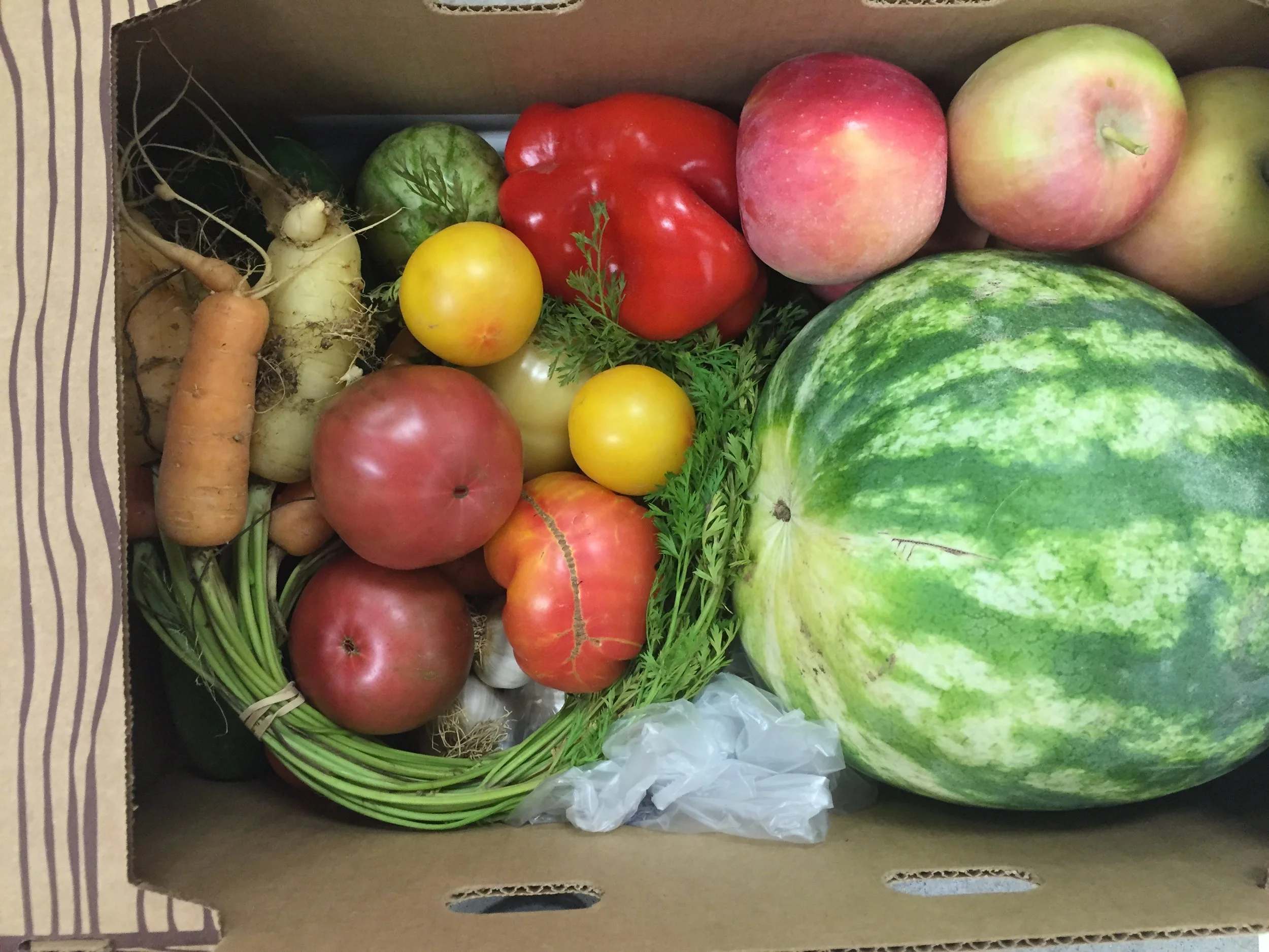 Produce Box | Local Pumpkin