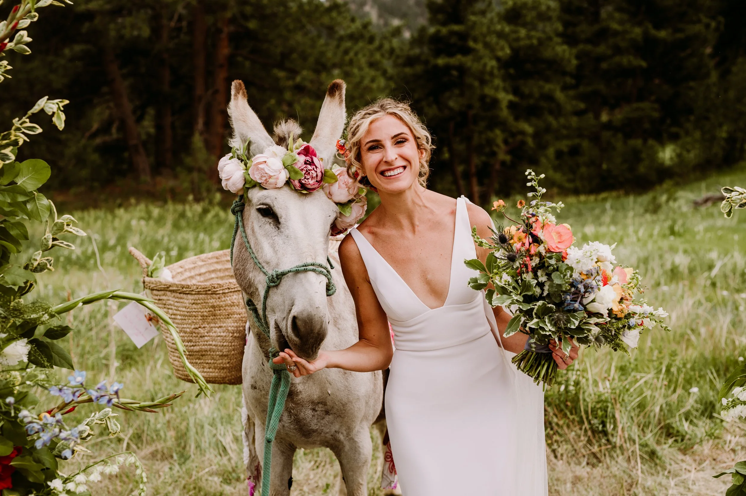 Beverage Burros — Beverage Burros