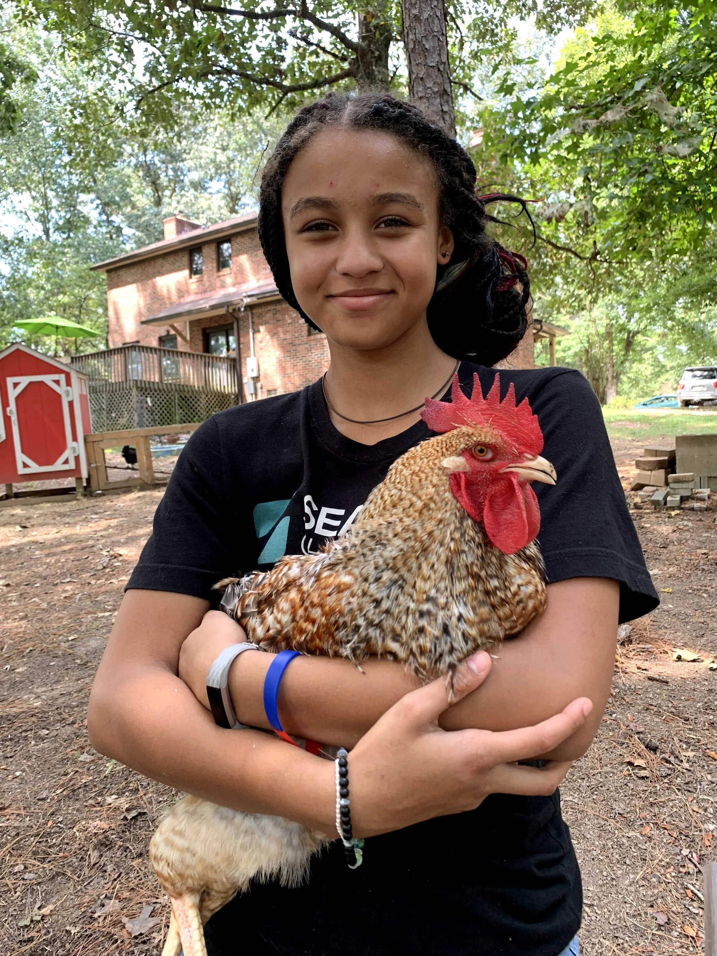 Crazy Chic Heritage Farm