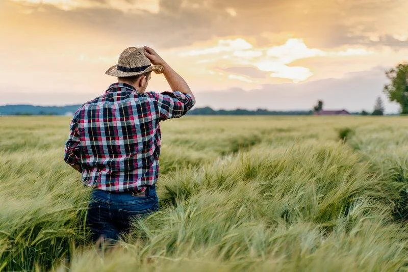 Effective Communication in Farm Families Reduces Stress – Lancaster ...