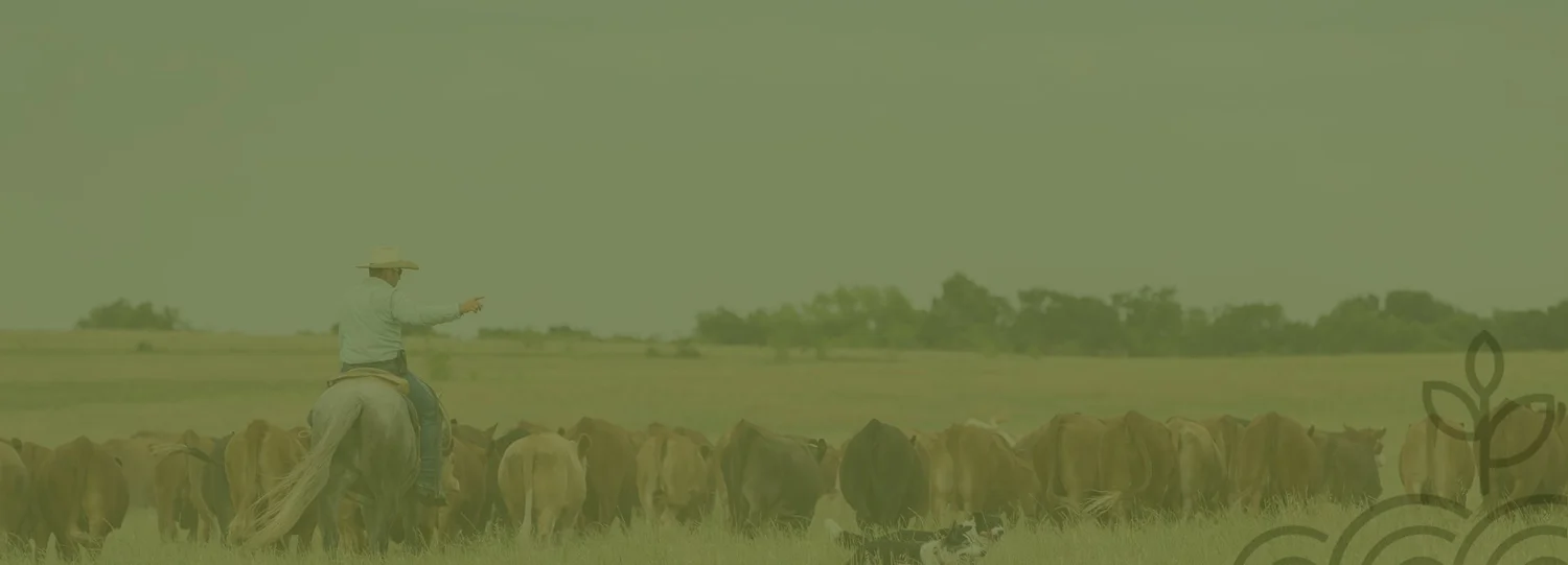Our Mission — Rural Minds