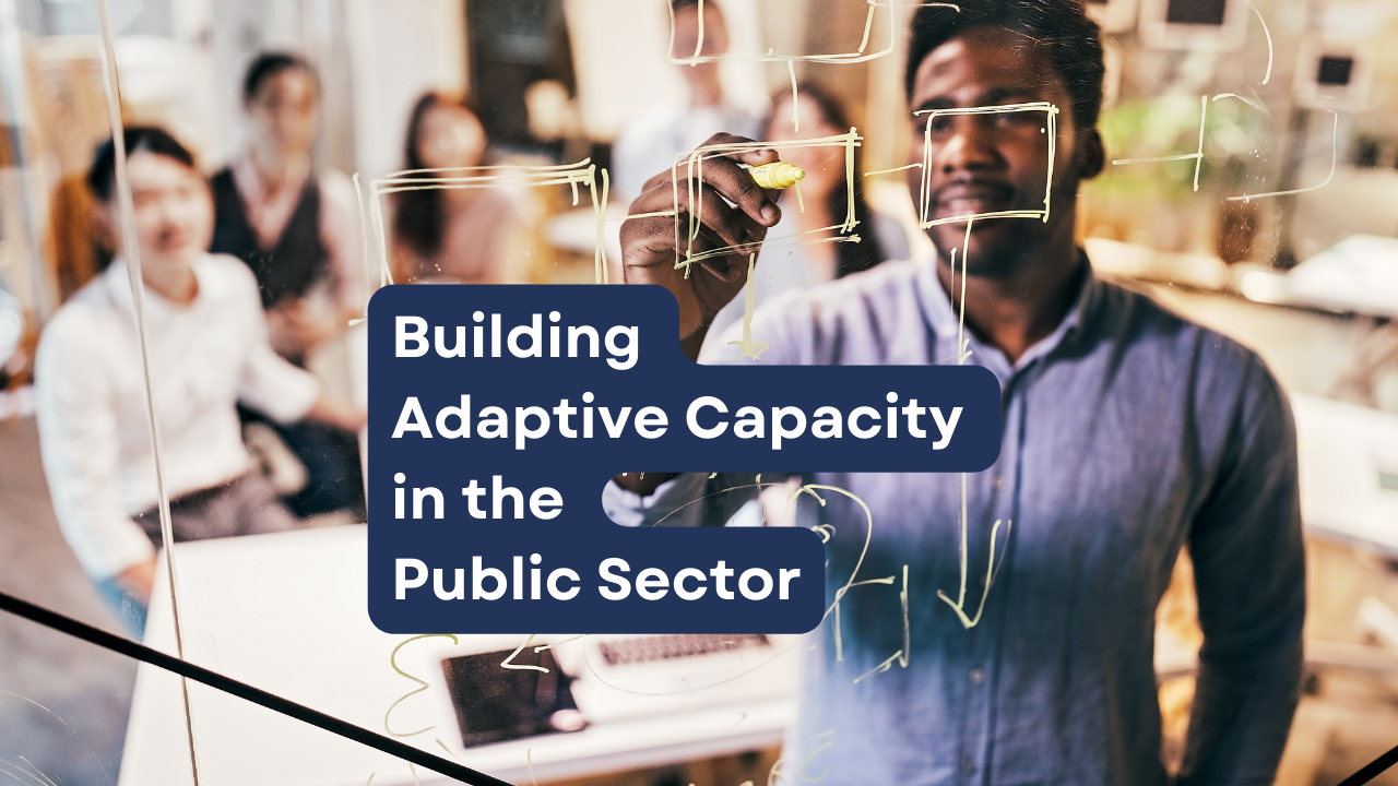 Building Adaptive Capacity in the Public Sector — CorbettPrice