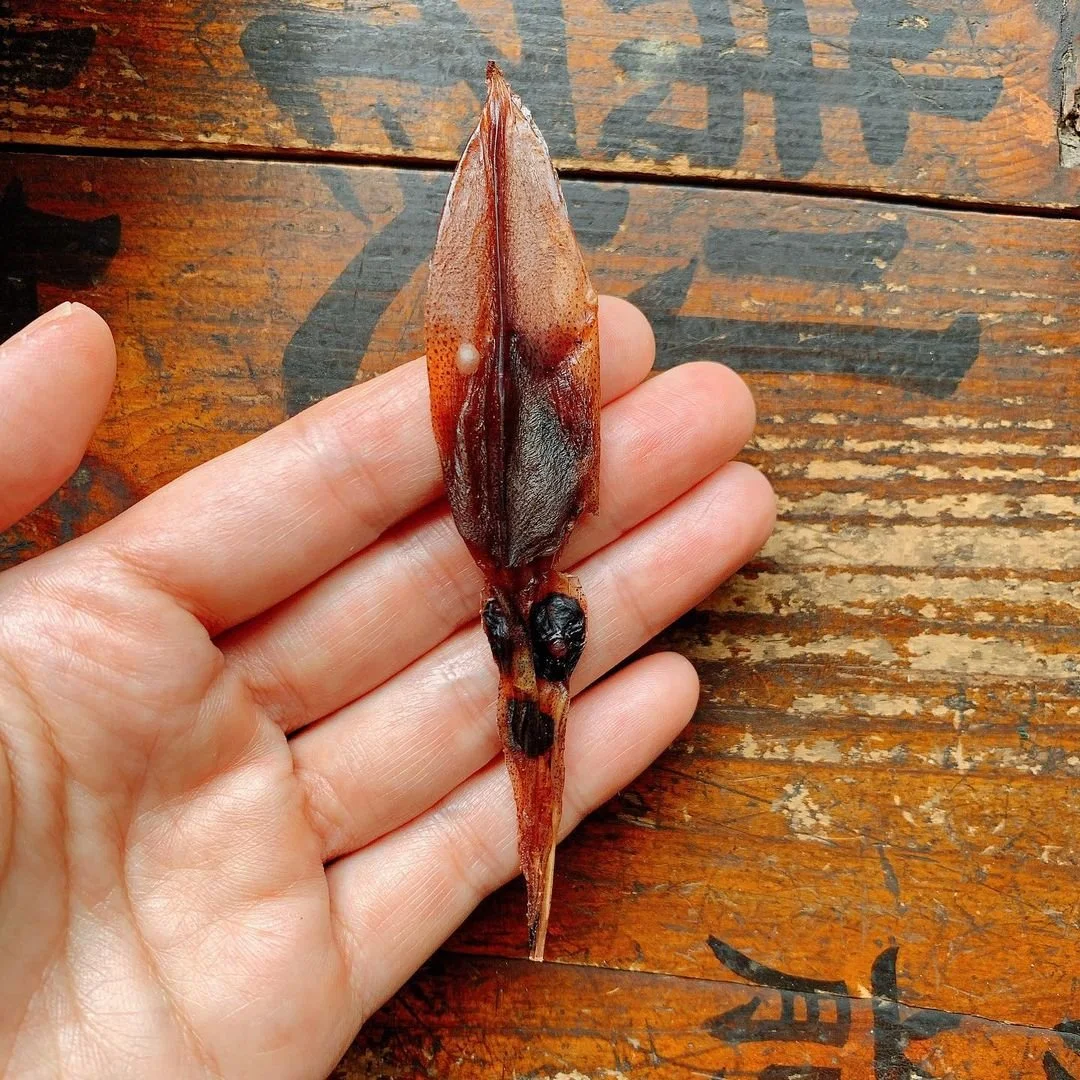 7/100 firefly squid /hotaruika ホタルイカ🐟 — Mayuko's Little Kitchen ...