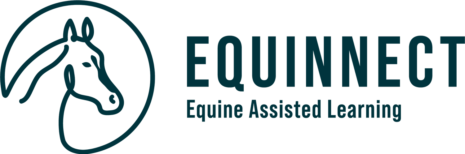Equinnect Equine Assisted Learning