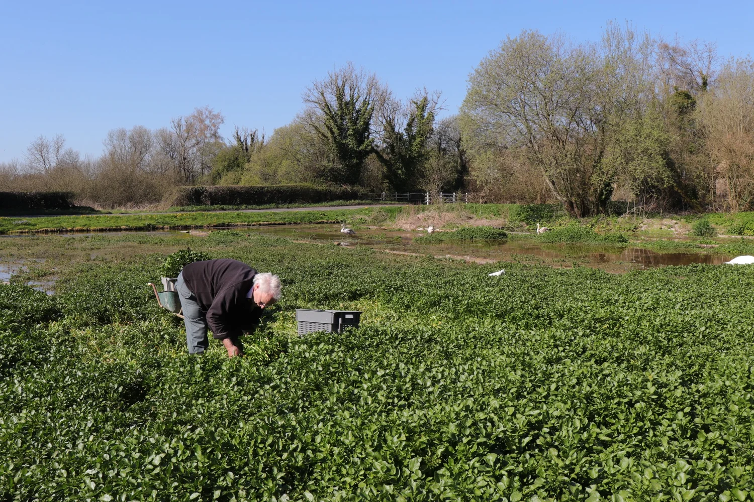 Producers — West Lea Farm Shop