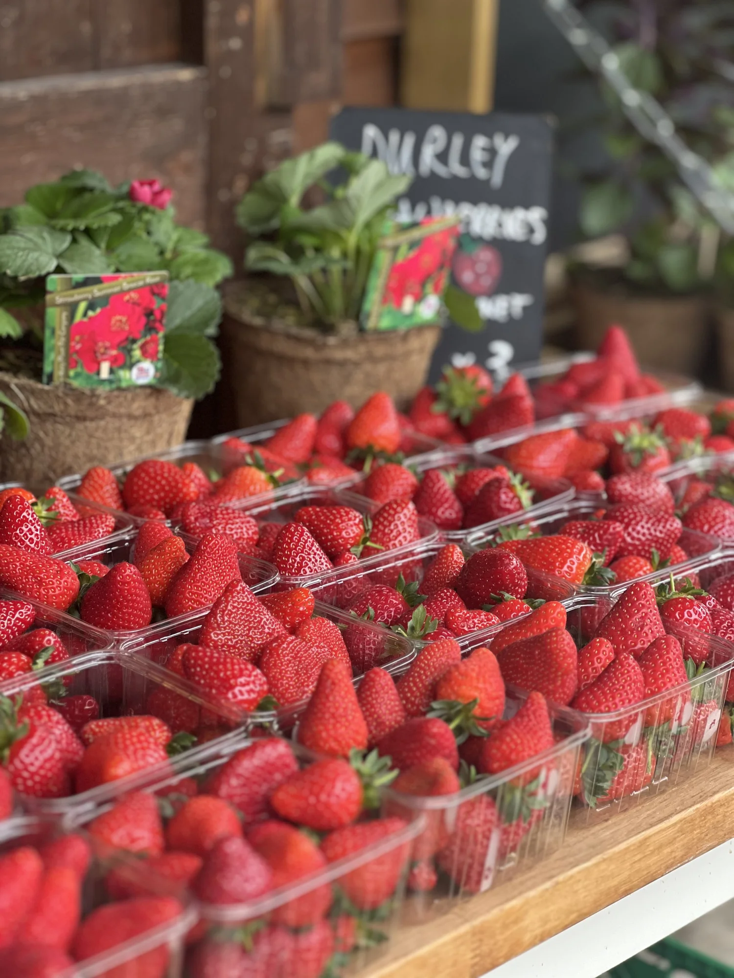 Producers — West Lea Farm Shop