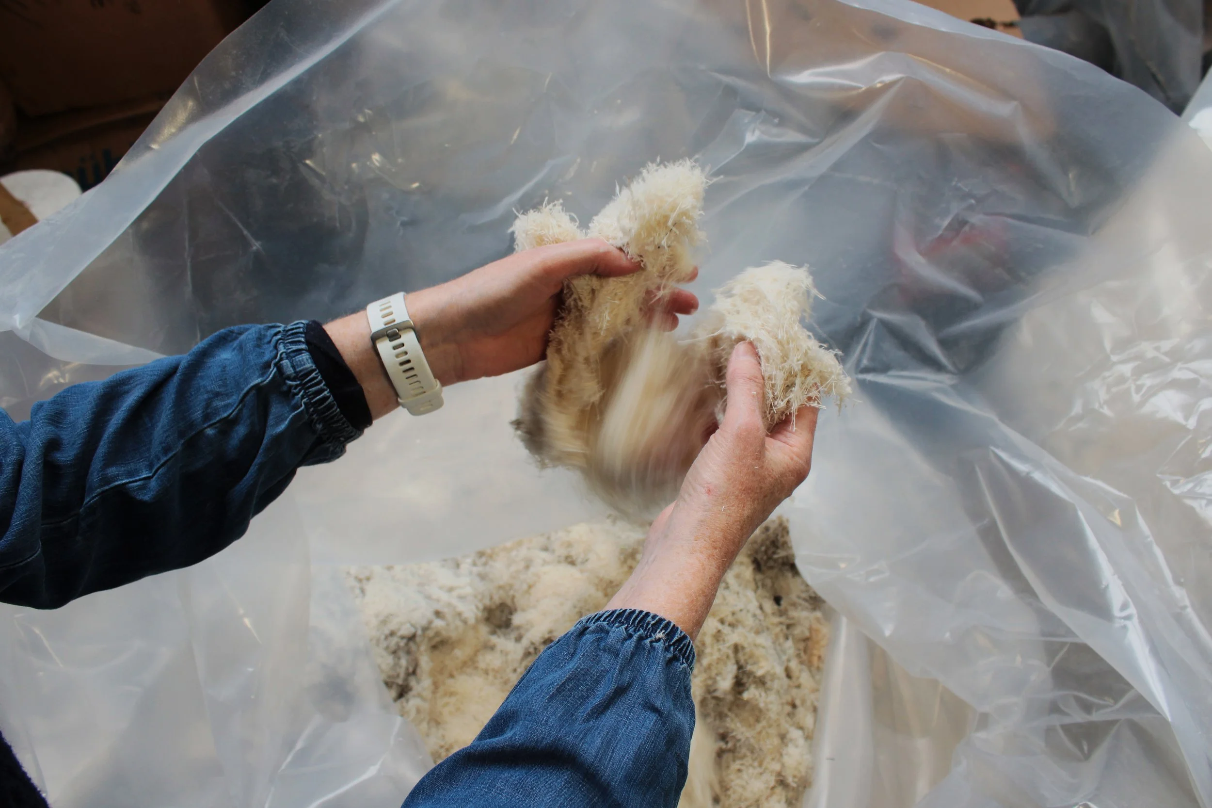Flocc — Sara + Sarah Smart Textiles