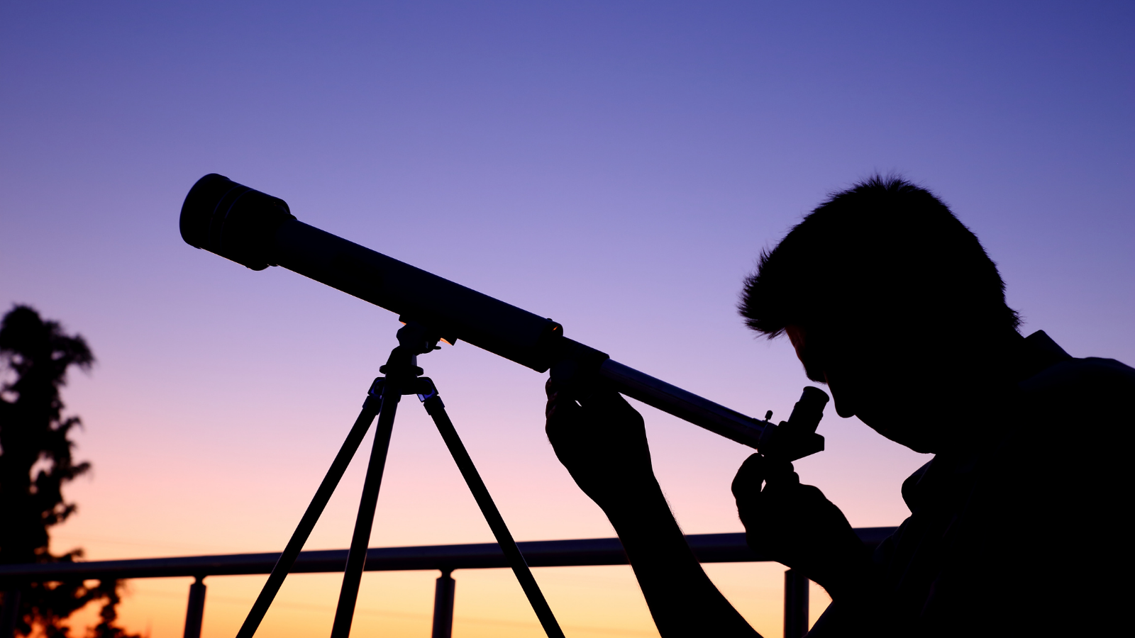 Ransom Life — Ransom Ranch