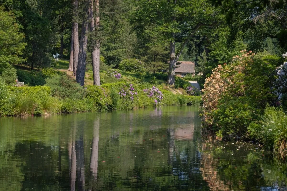 Buy Day Tickets Online | Leonardslee Gardens