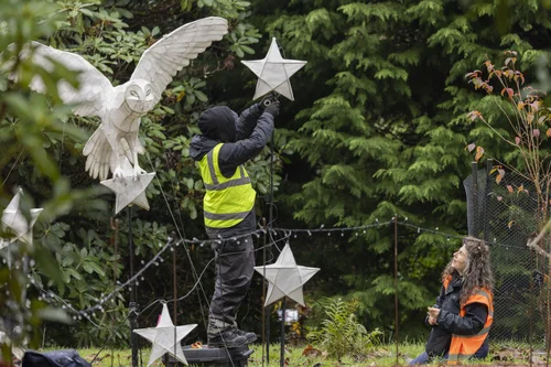 Leonardslee Lights | Leonardslee Gardens