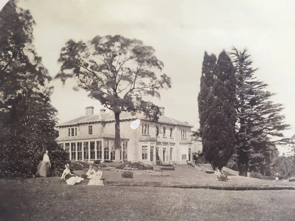 History In the making | Leonardslee Gardens