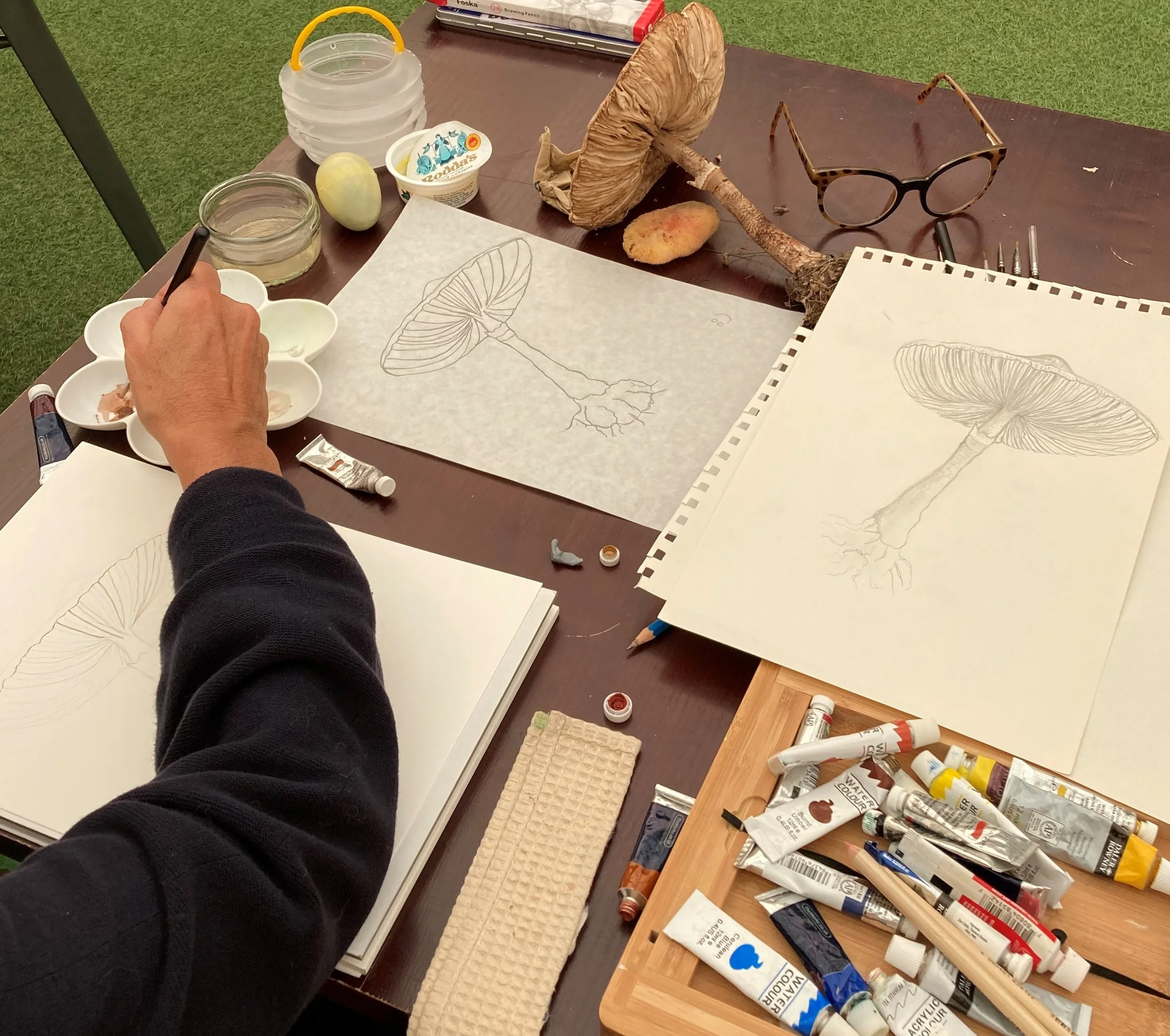 Botanical Illustration Workshop | Leonardslee Gardens