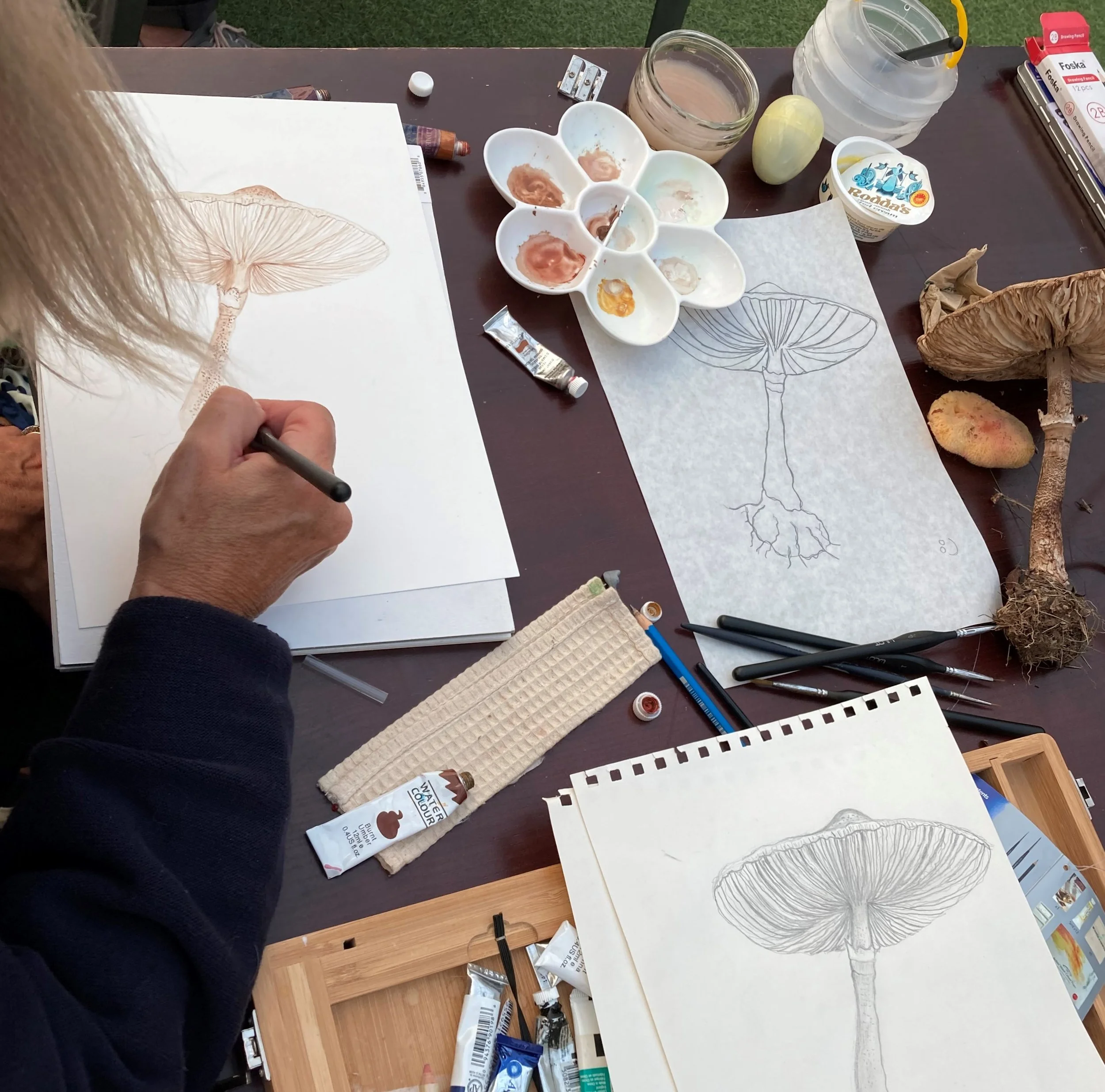 Botanical Illustration Workshop: Spring at Leonardslee | Leonardslee ...